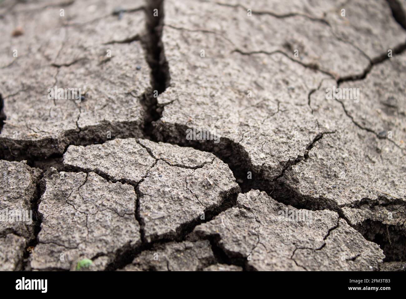 Deep cracks in the ground. The dry ground cracked. Black soil with deep ...