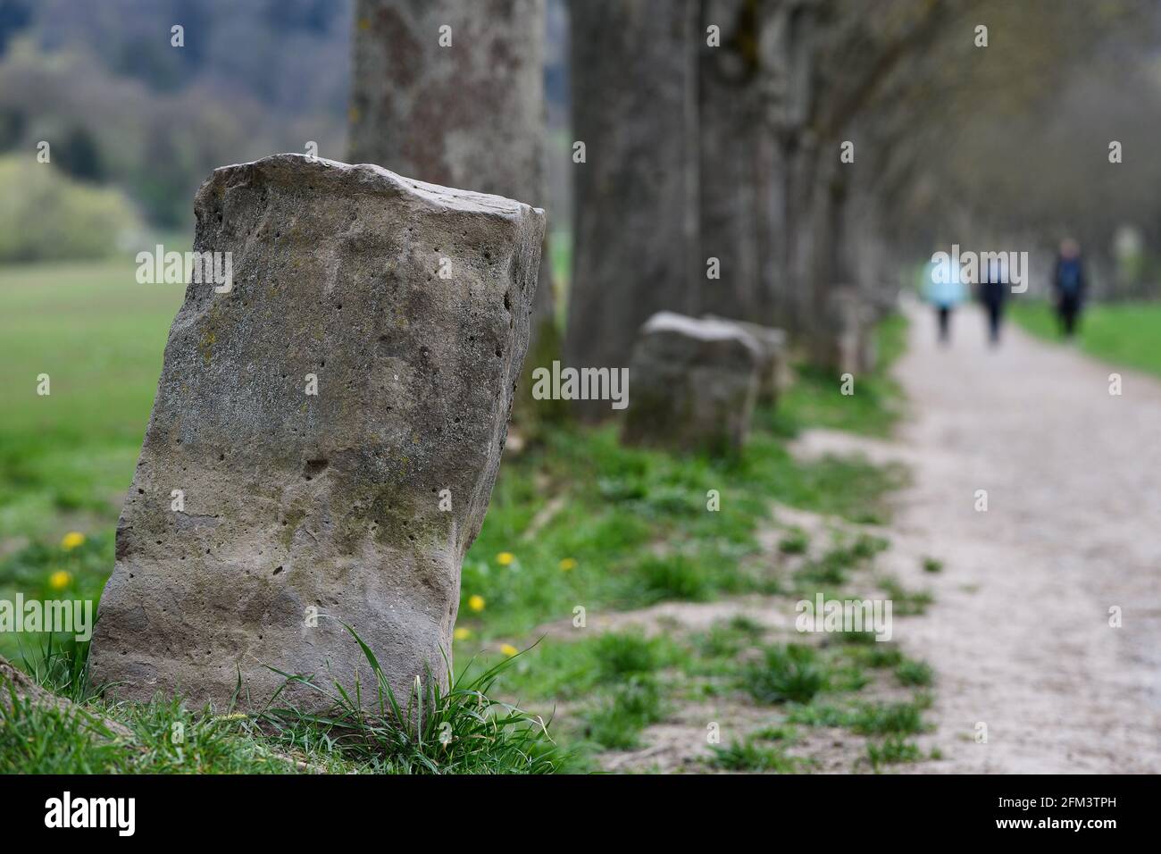 Joseph beuys 7000 trees hi-res stock photography and images - Alamy