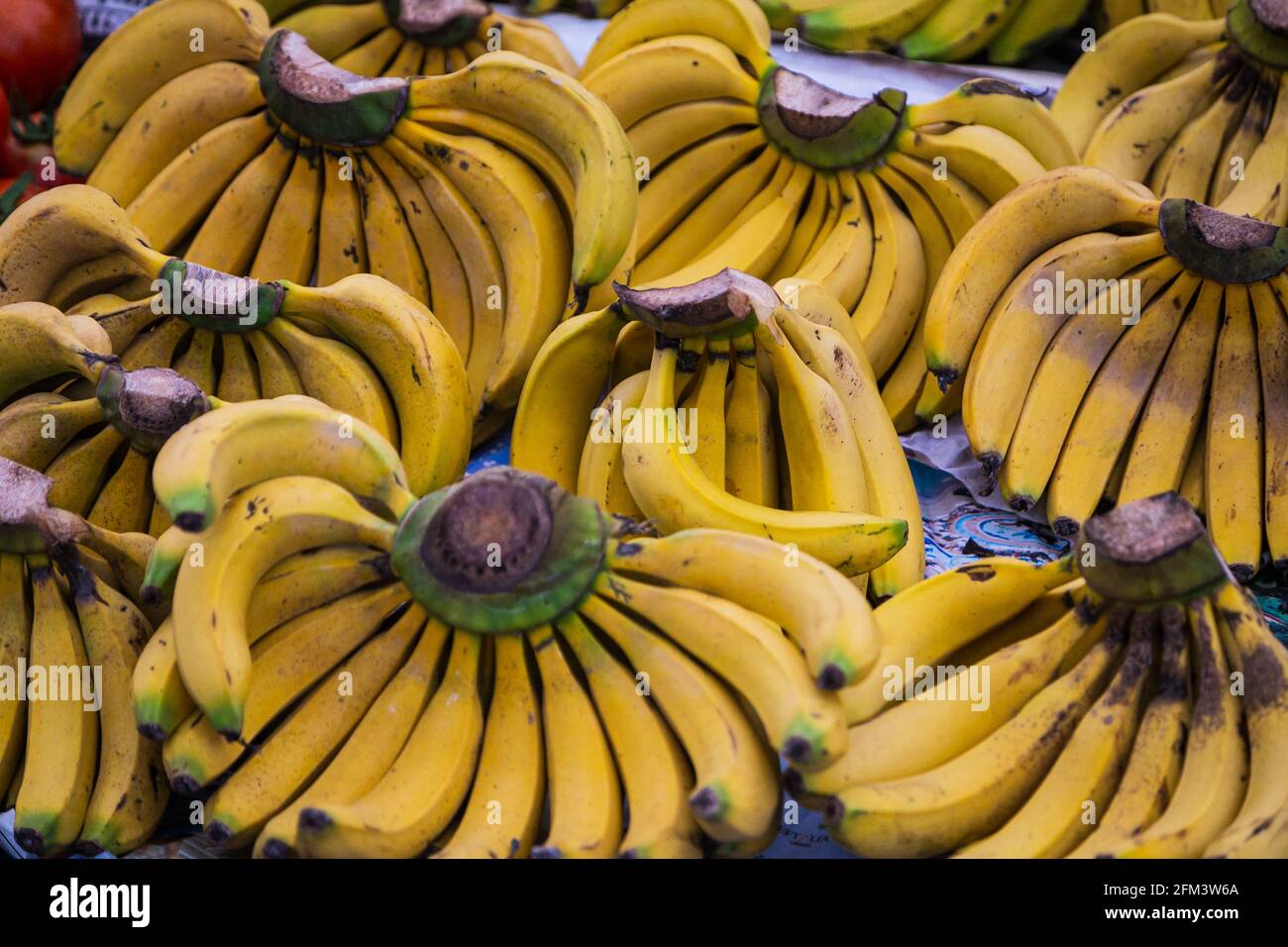 Close-up of yellow bananas for background, texture. Bundles of ...