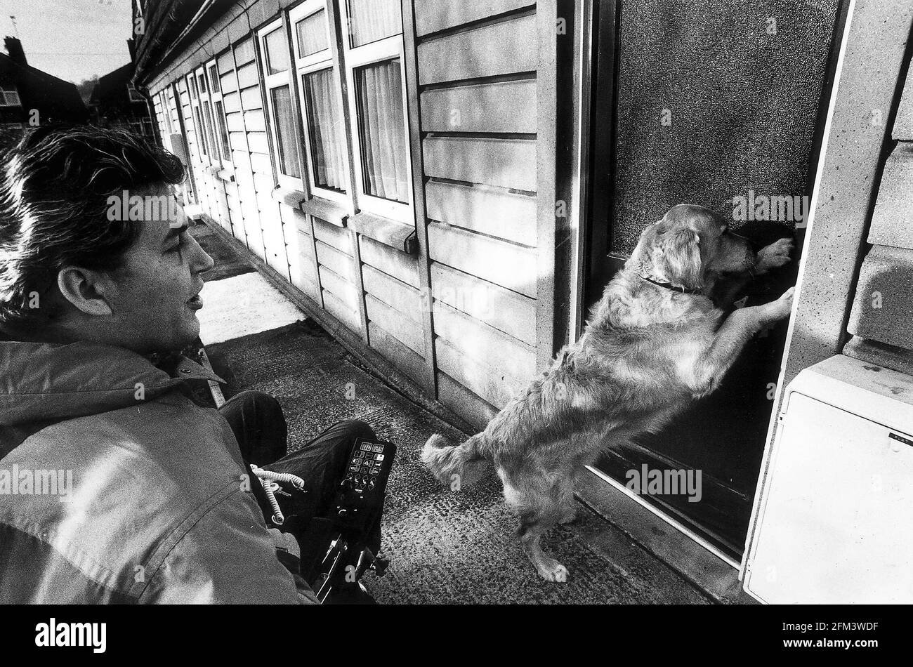 Ian Free and his dog Alex Care for the severely disabled story epd ...
