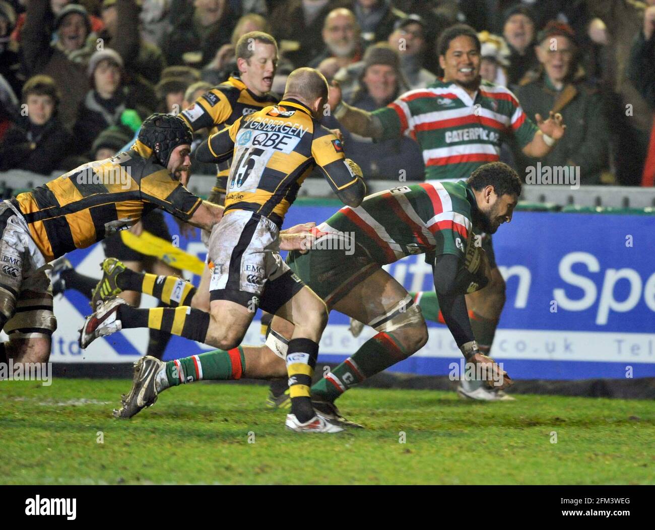 Steve mafi hi-res stock photography and images - Alamy