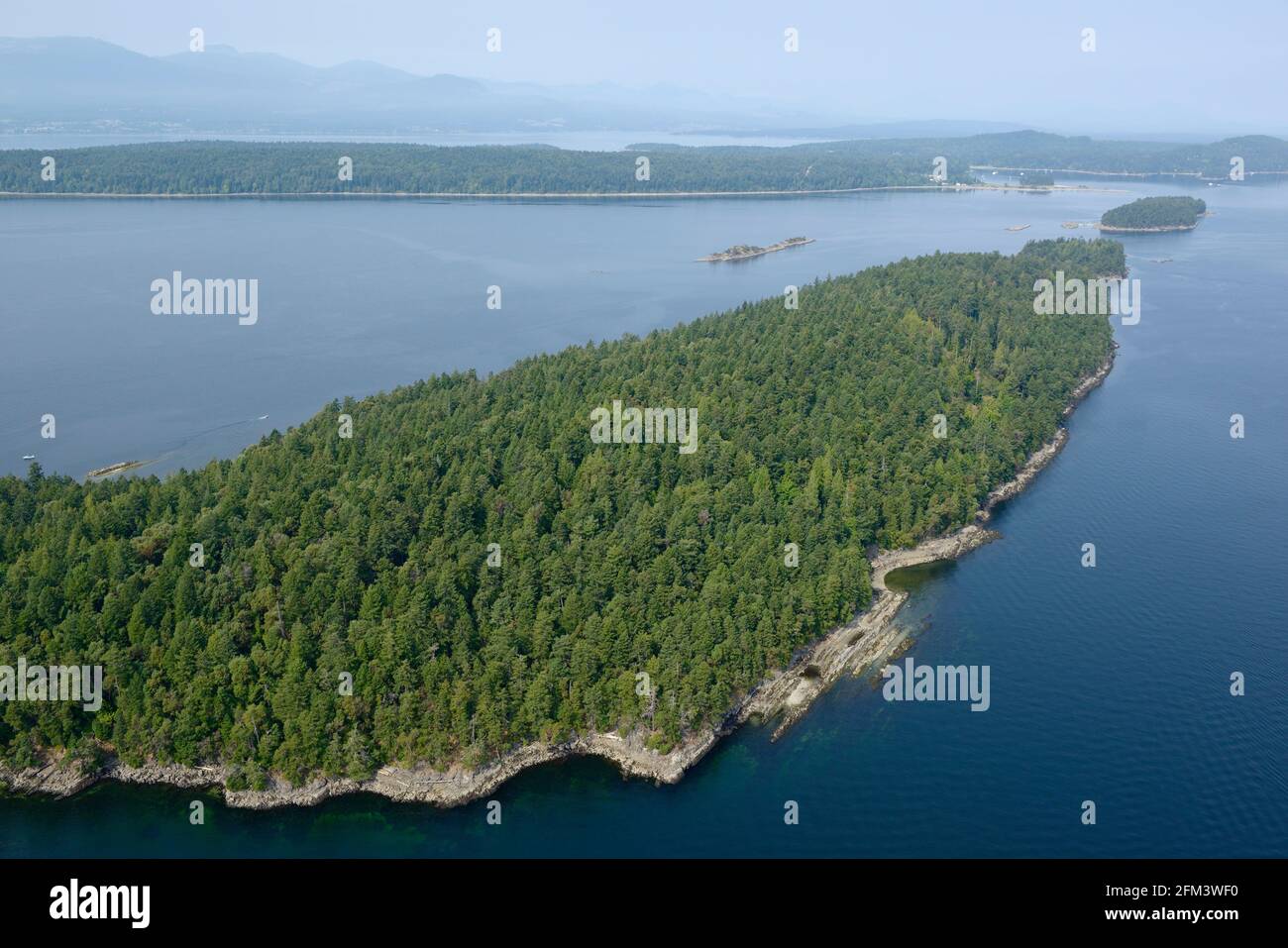 Southern secretary hi-res stock photography and images - Alamy