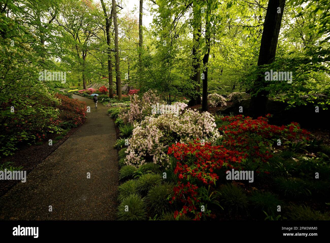 Spring in the bronx hi-res stock photography and images - Alamy