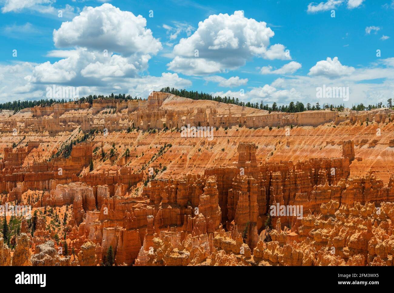 Bryce Canyon landscape in summer with hoodoo rock formations, Bryce ...
