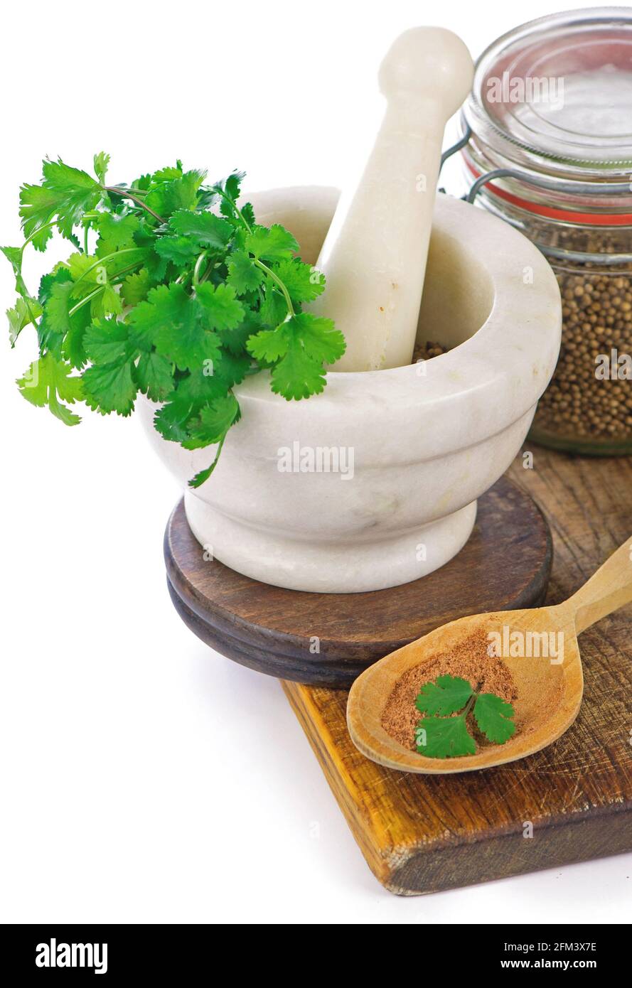 Coriander fresh greens cilantroisolated on the white Stock Photo - Alamy