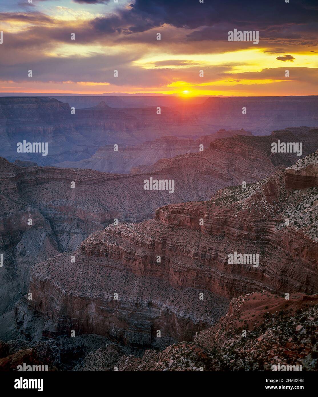 North rim grand canyon forest hi-res stock photography and images - Alamy
