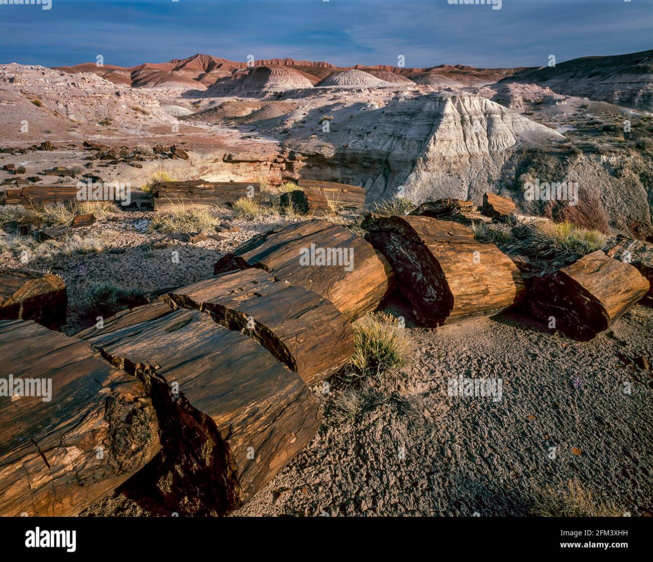 Southwestern arizona hi-res stock photography and images - Alamy