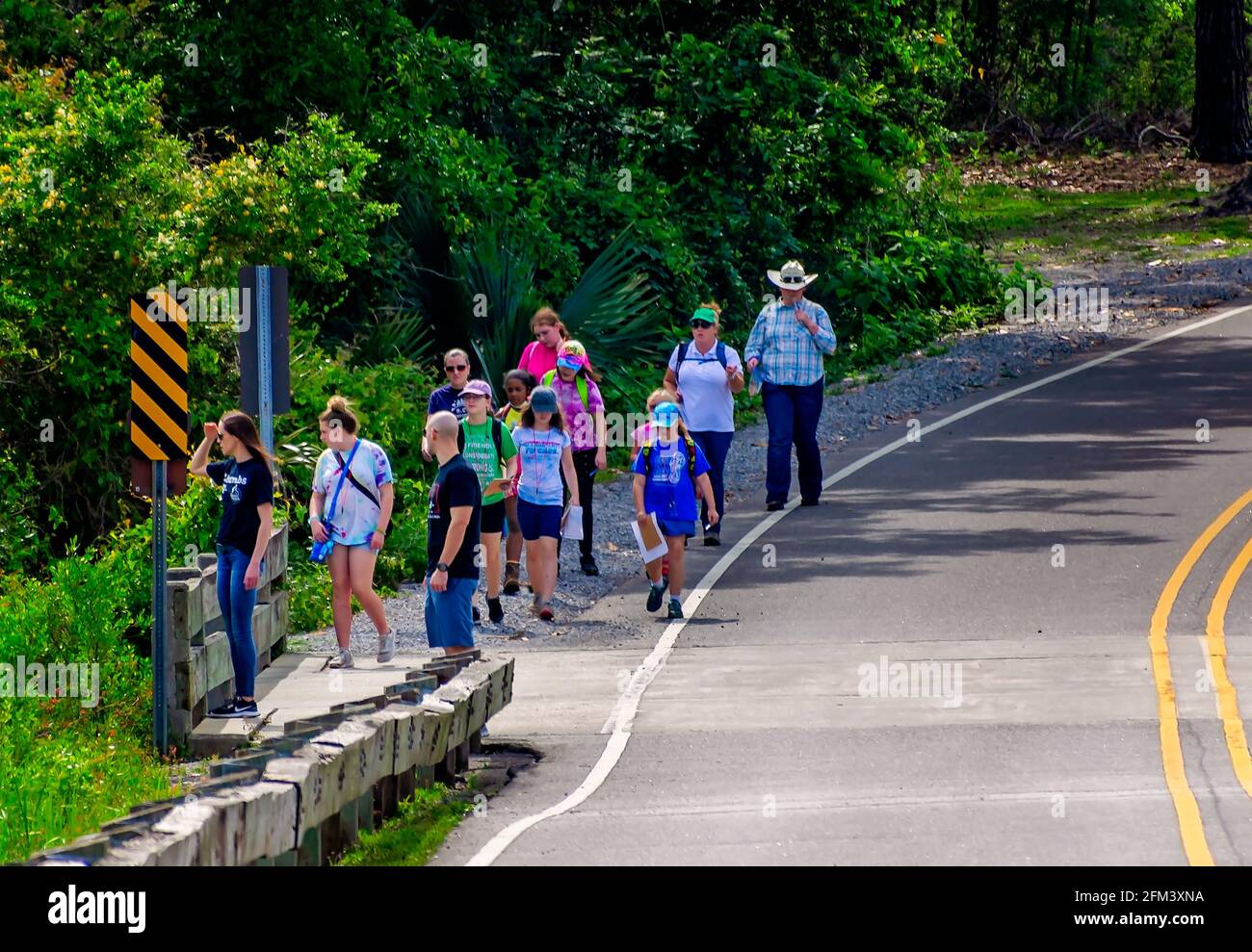 Tourists watch alligators in the Davis Bayou Area of Gulf Islands ...