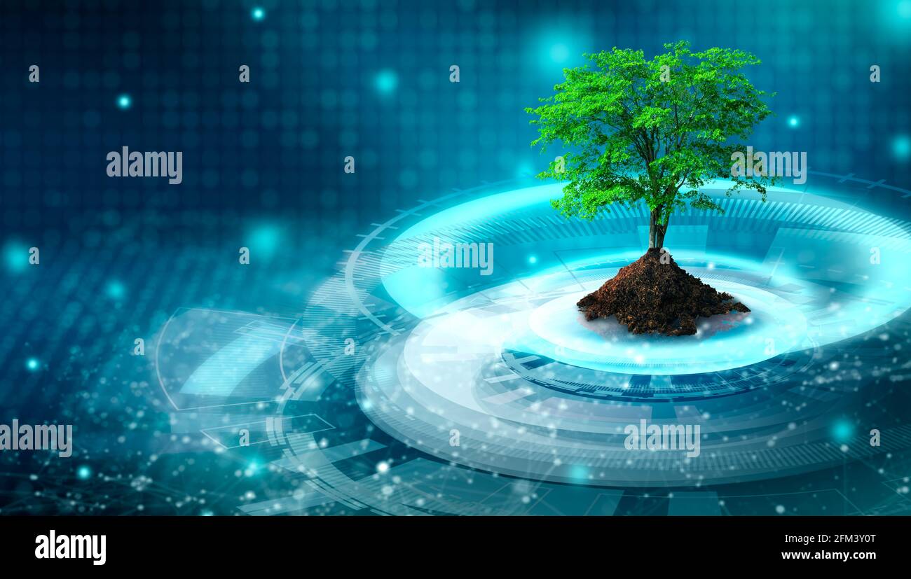 Tree with soil growing on the converging point of computer circuit ...