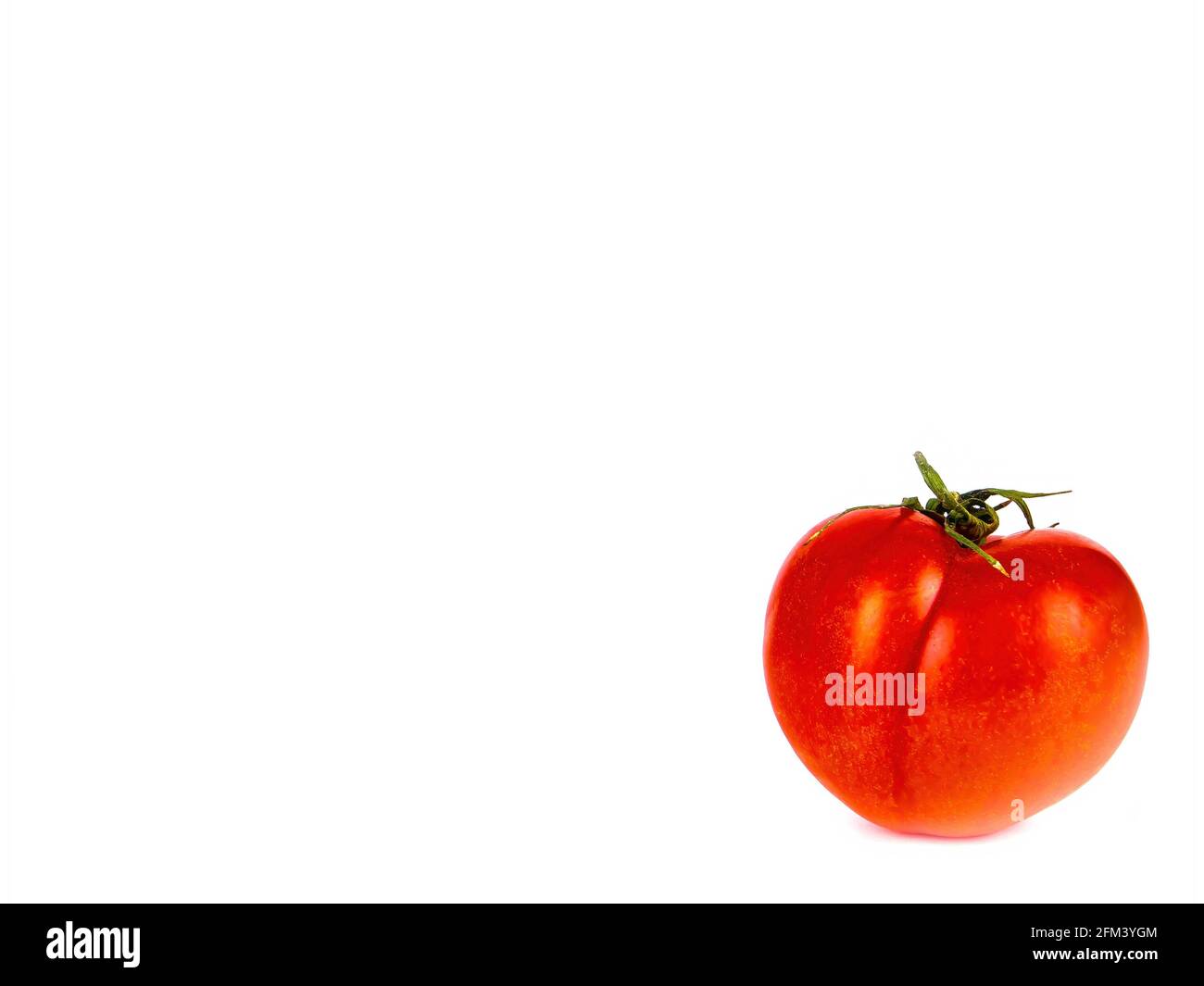 Red tomatoes vegetables on a white background. Red tomato vegetable ...