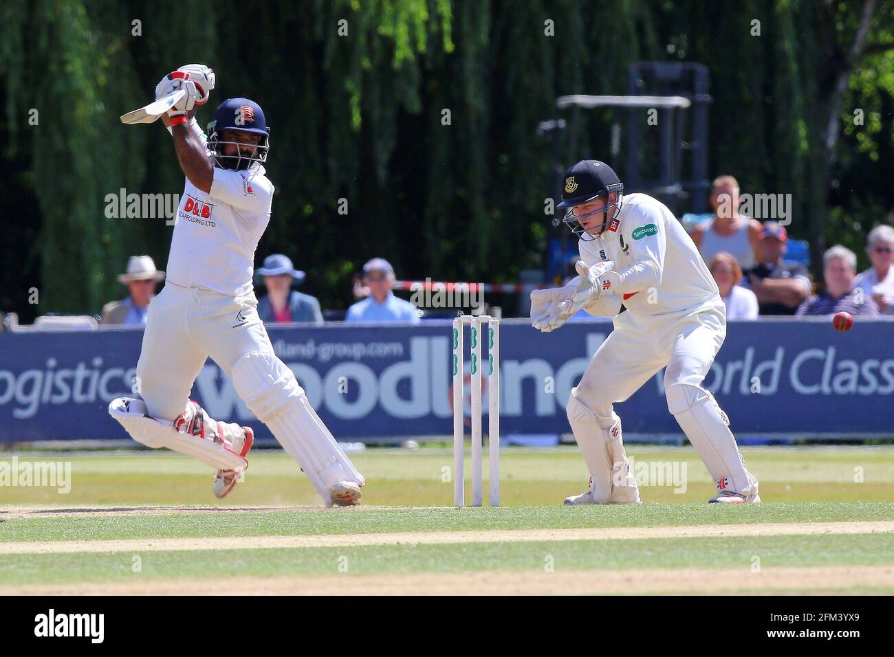 Cricket di specsavers hi-res stock photography and images - Alamy