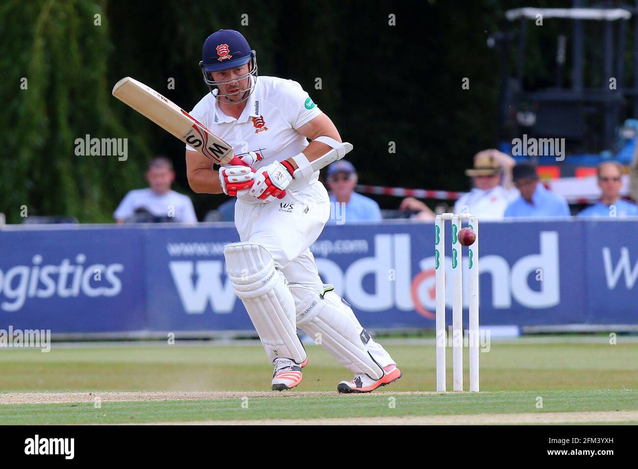 Graham Napier in batting action for Essex during Essex CCC vs Sussex ...