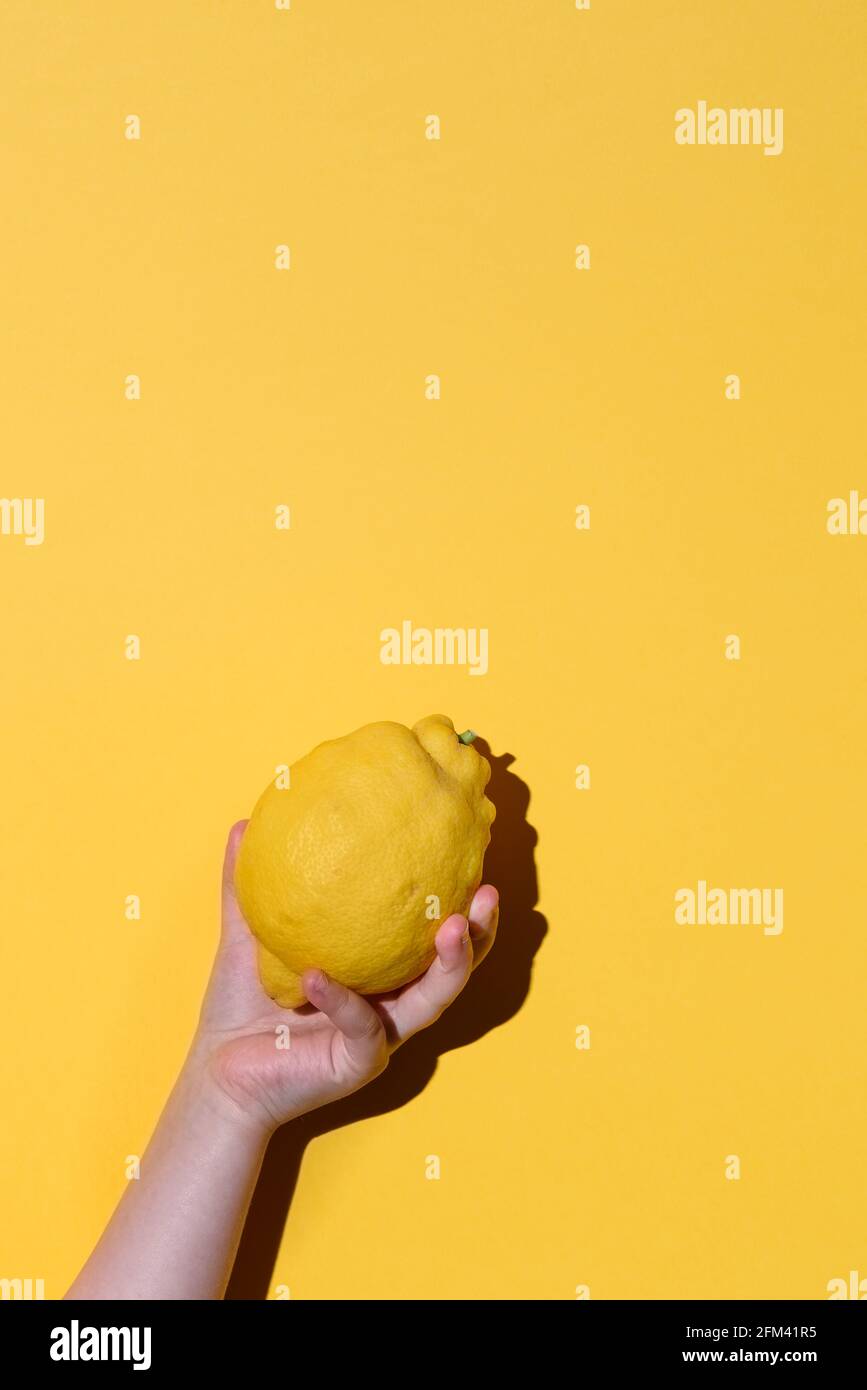 lemon hold by hand of unrecognizable child. Vertical take and with hard ...