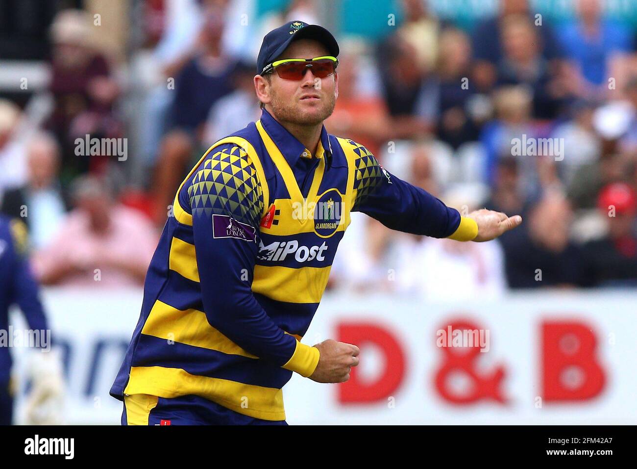 Colin Ingram of Glamorgan during Essex Eagles vs Glamorgan, Royal ...