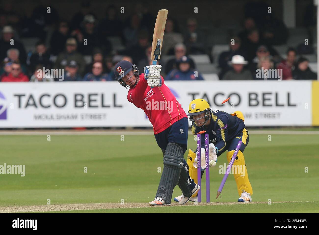 Adam Wheater of Essex is bowled out by Sean Ervine as Lewis McManus ...