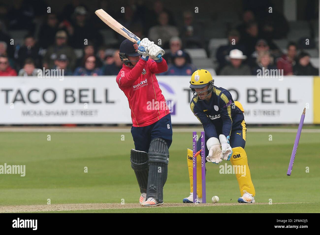 Adam Wheater of Essex is bowled out by Sean Ervine as Lewis McManus ...