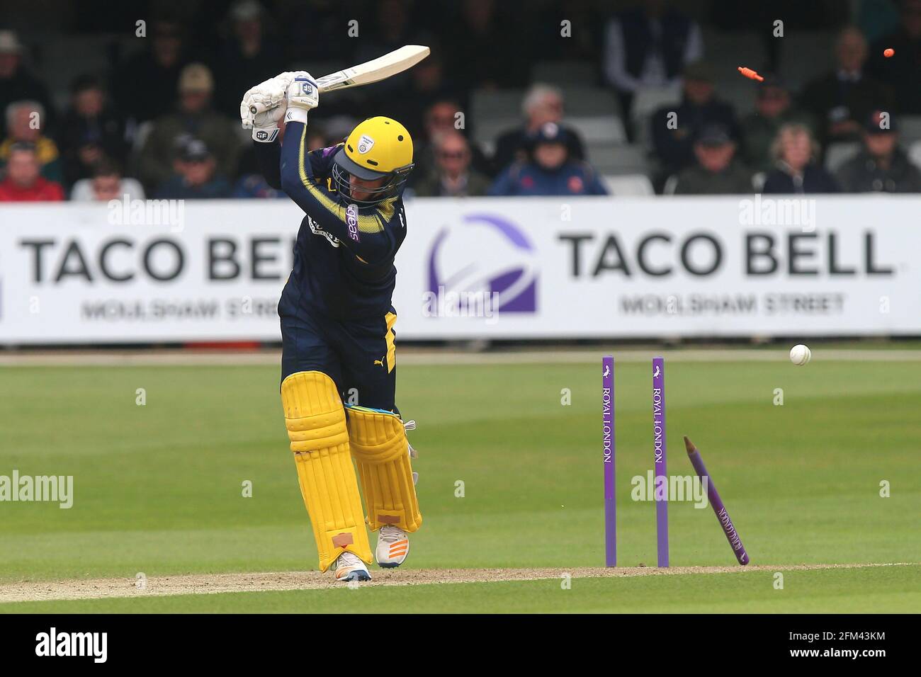 Tom Alsop of Hampshire is bowled out by Matt Quinn during Essex Eagles ...