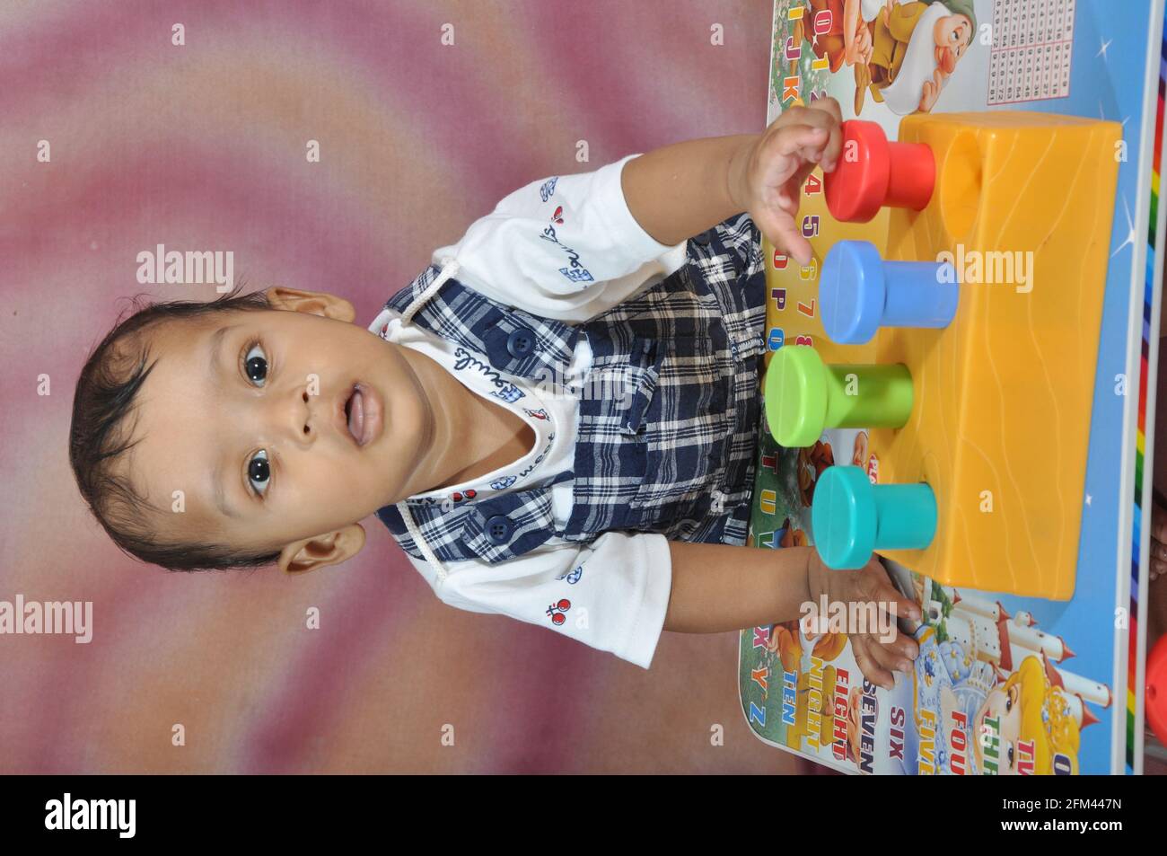 Baby shark live! hi-res stock photography and images - Alamy