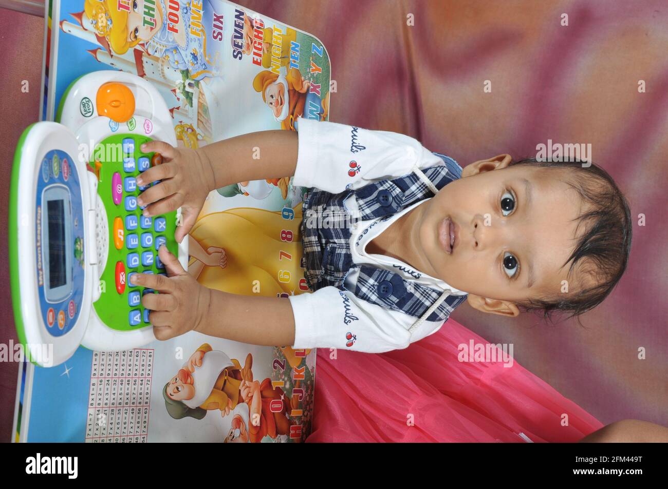 Baby shark live! hi-res stock photography and images - Alamy