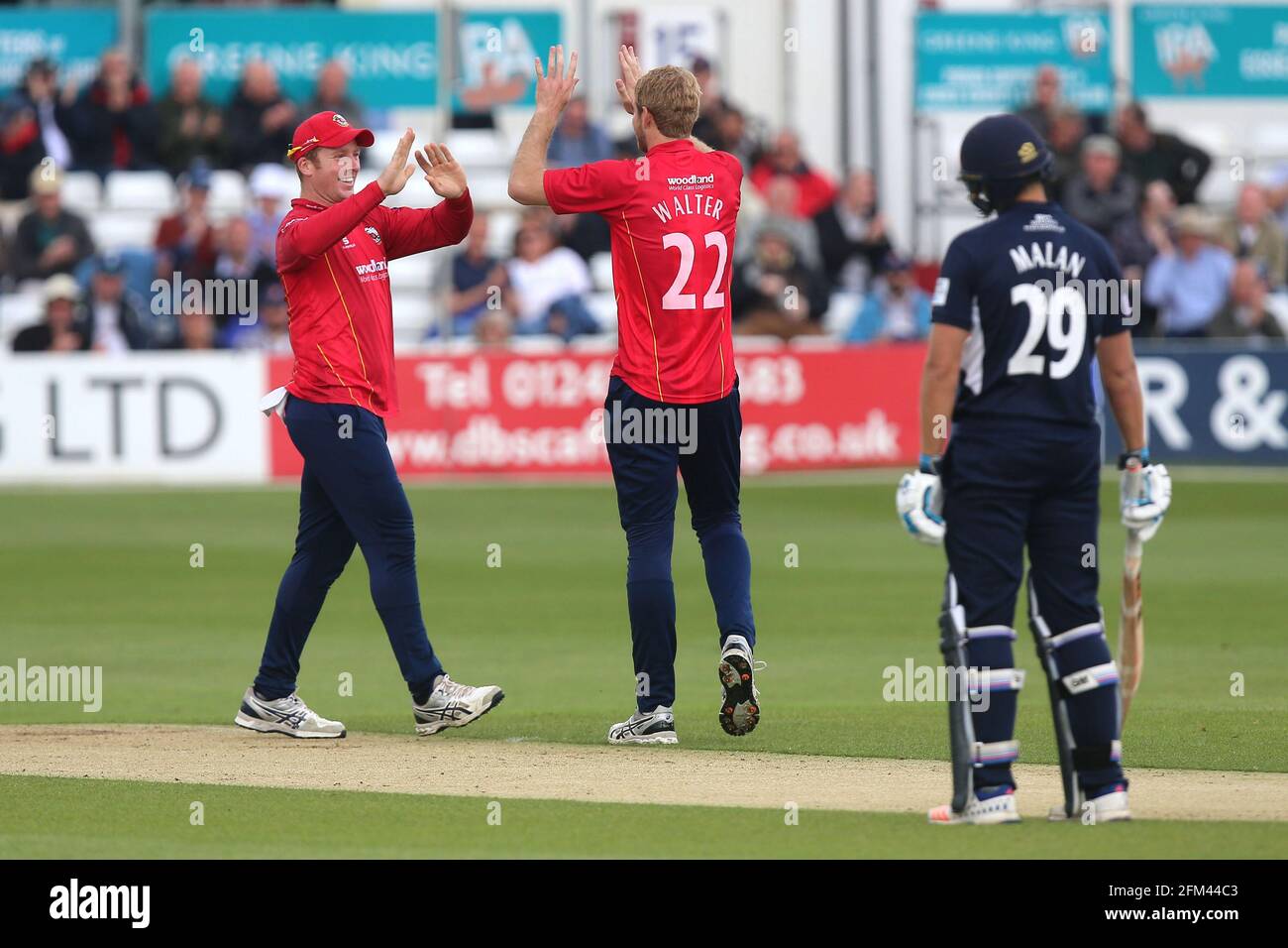 Paul Walter of Essex celebrates taking the wicket of Nick Compton ...