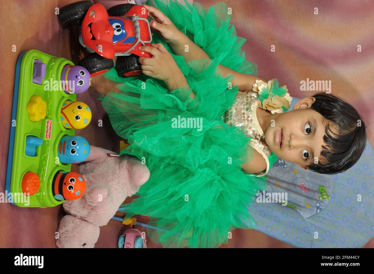 Baby shark live! hi-res stock photography and images - Alamy