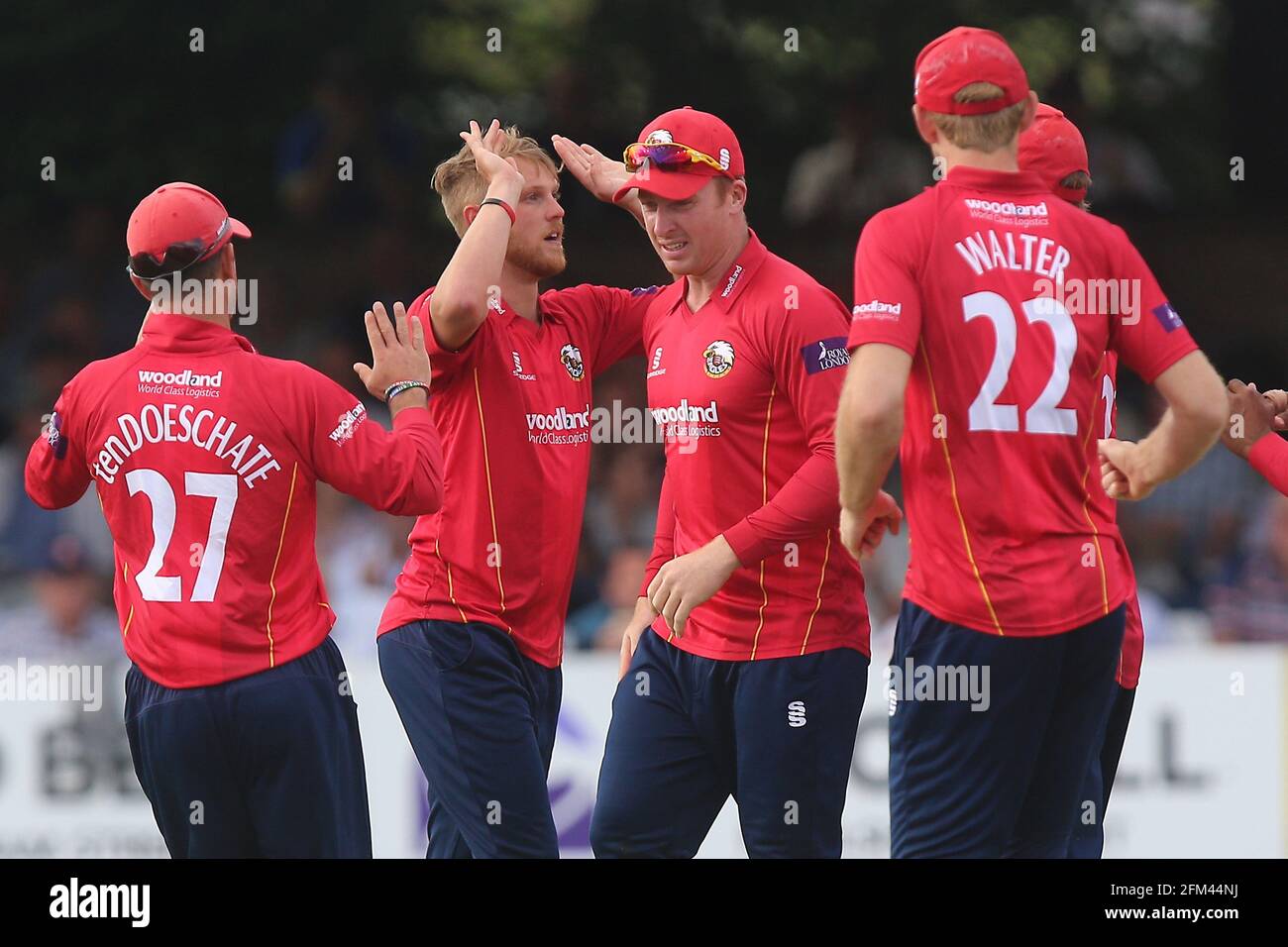 Semi professional cricket hi-res stock photography and images - Alamy