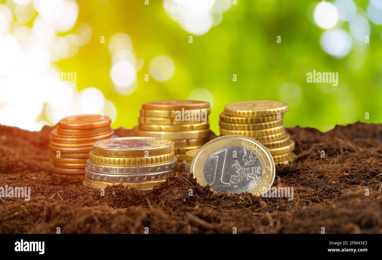Coins stack of money and growing plant, financial concept Stock Photo ...