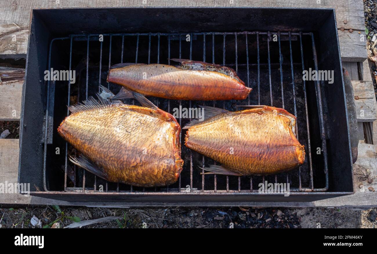 Three smoked fish in a makeshift smokehouse Stock Photo - Alamy