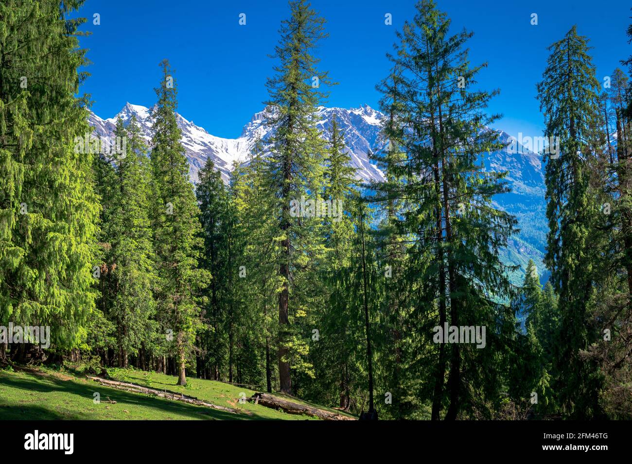 Panorama of the mountains. The snow-capped high mountain of the ...