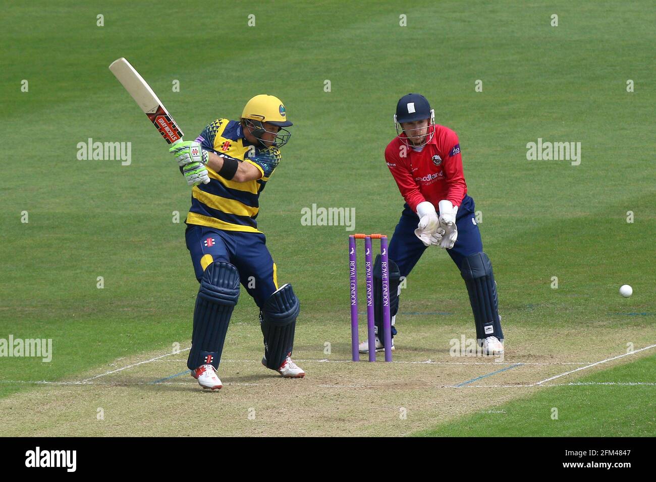 Colin ingram cricketer hi-res stock photography and images - Alamy