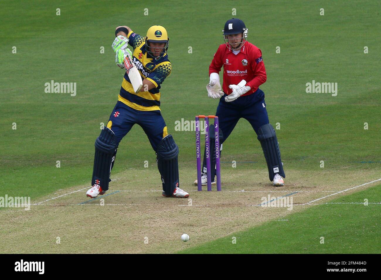 Colin ingram cricketer hi-res stock photography and images - Alamy