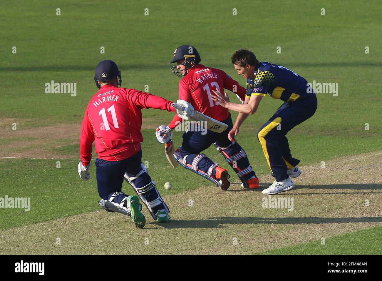 Michael Hogan Cricketer High Resolution Stock Photography and Images ...