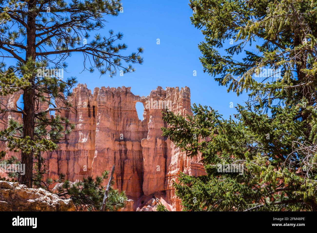 A natural rock formation of Red Rocks Hoodoos in Bryce Canyon National ...