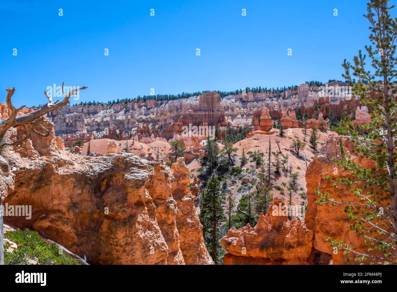 A natural rock formation of Red Rocks Hoodoos in Bryce Canyon National ...