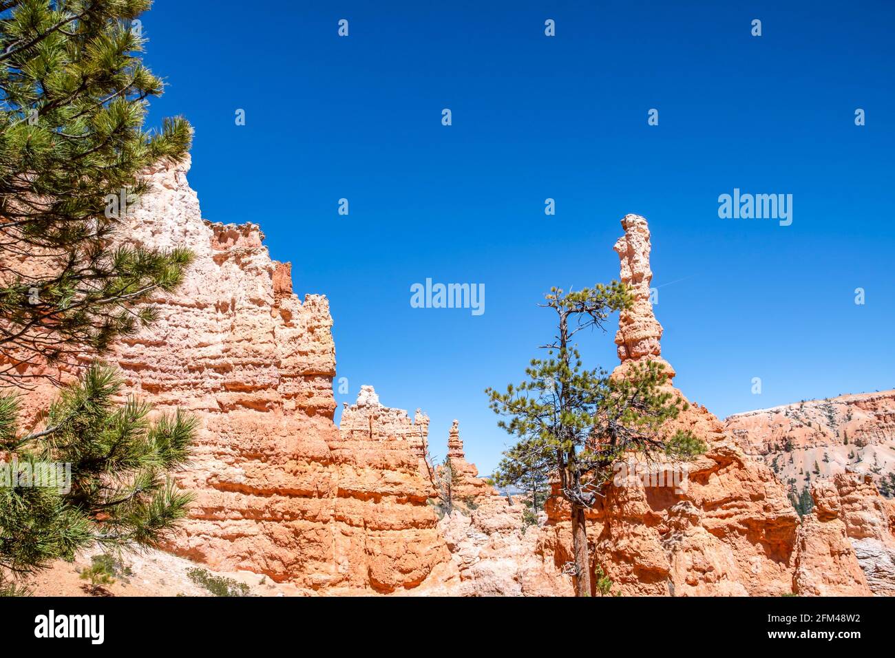 A natural rock formation of Red Rocks Hoodoos in Bryce Canyon National ...