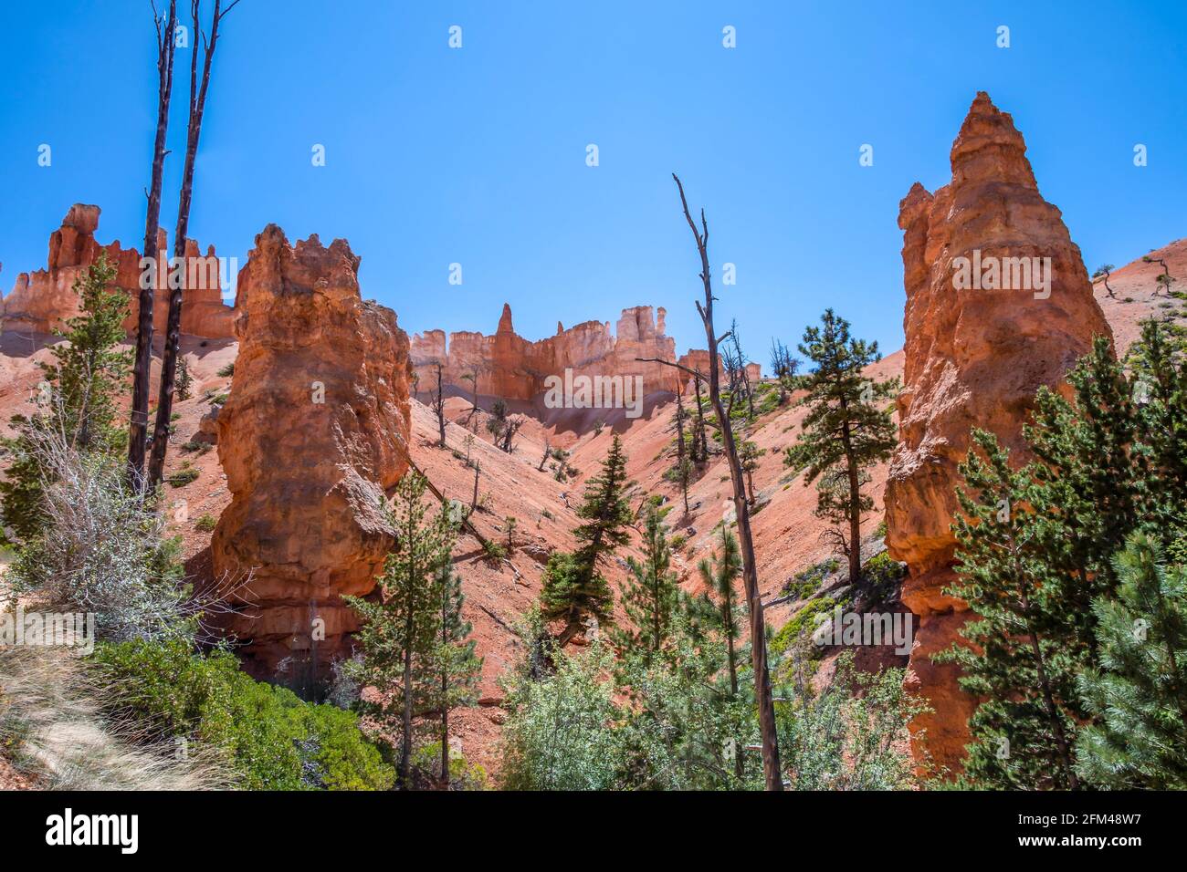 A natural rock formation of Red Rocks Hoodoos in Bryce Canyon National ...