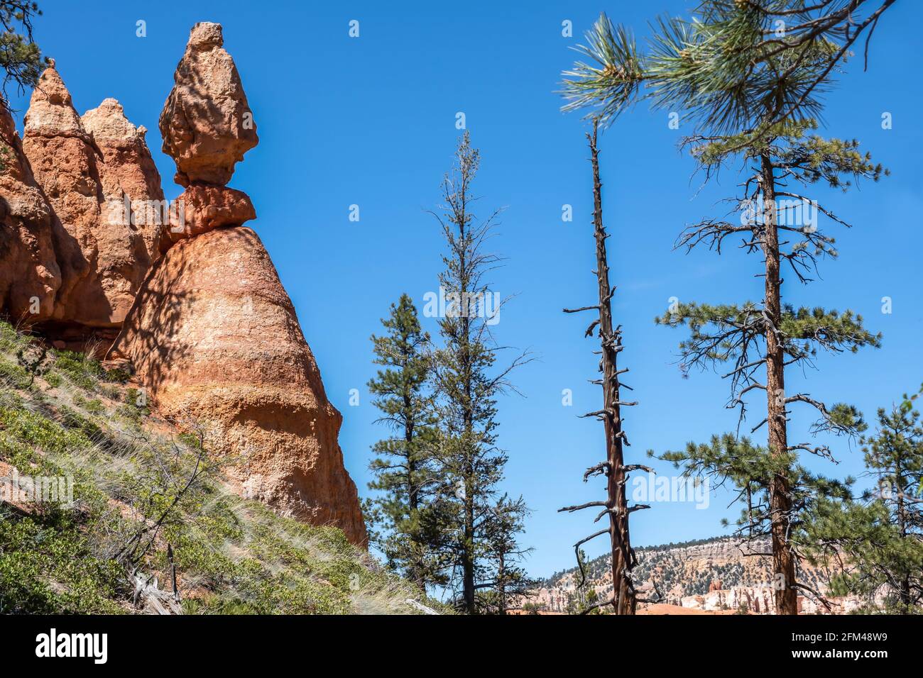 A natural rock formation of Red Rocks Hoodoos in Bryce Canyon National ...