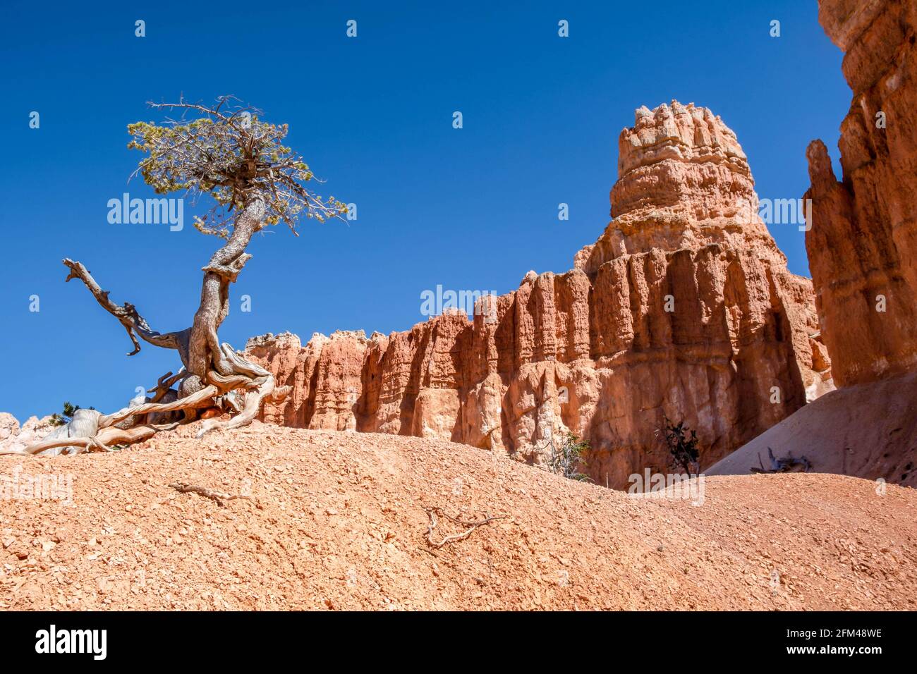 A natural rock formation of Red Rocks Hoodoos in Bryce Canyon National ...