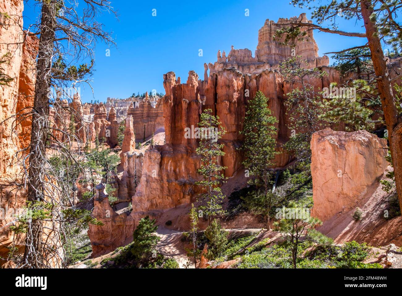 A natural rock formation of Red Rocks Hoodoos in Bryce Canyon National ...