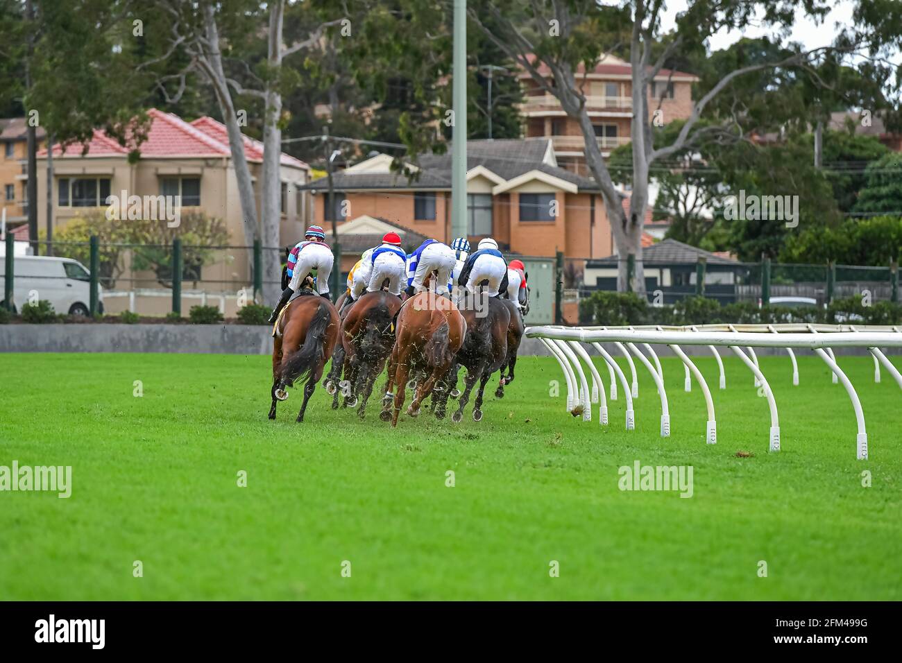 A field of horses and jockeys during a race taking right turn. View ...