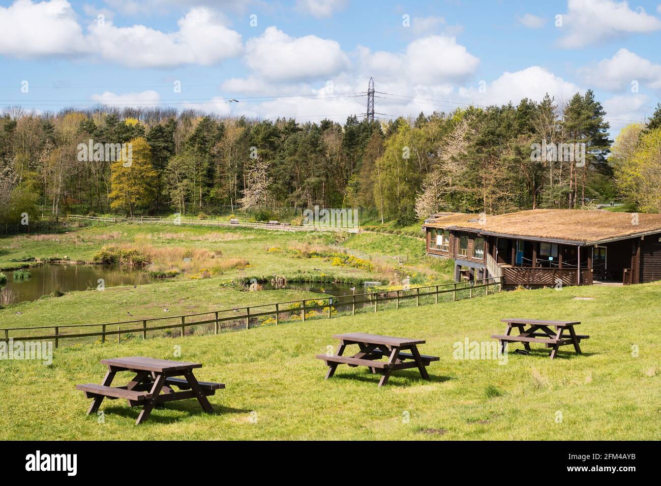 The visitor centre at Washington Wetland Centre, north east England, UK ...