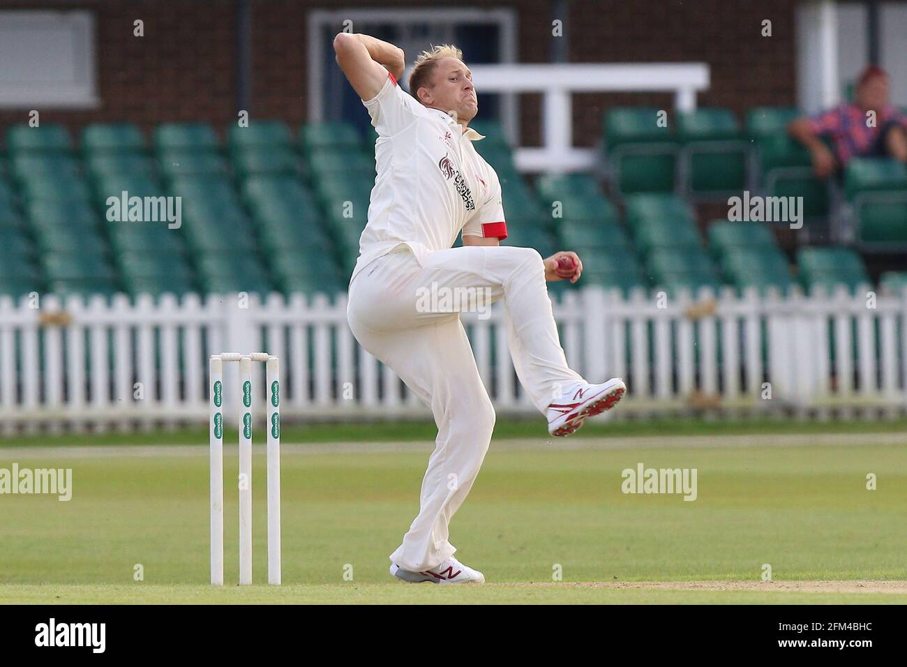 Dieter klein cricket hi-res stock photography and images - Alamy