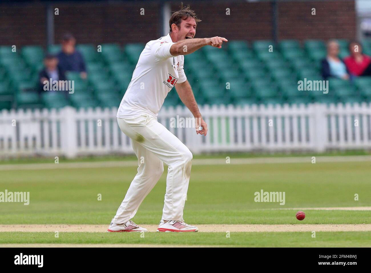 Mark cosgrove cricketer hi-res stock photography and images - Alamy