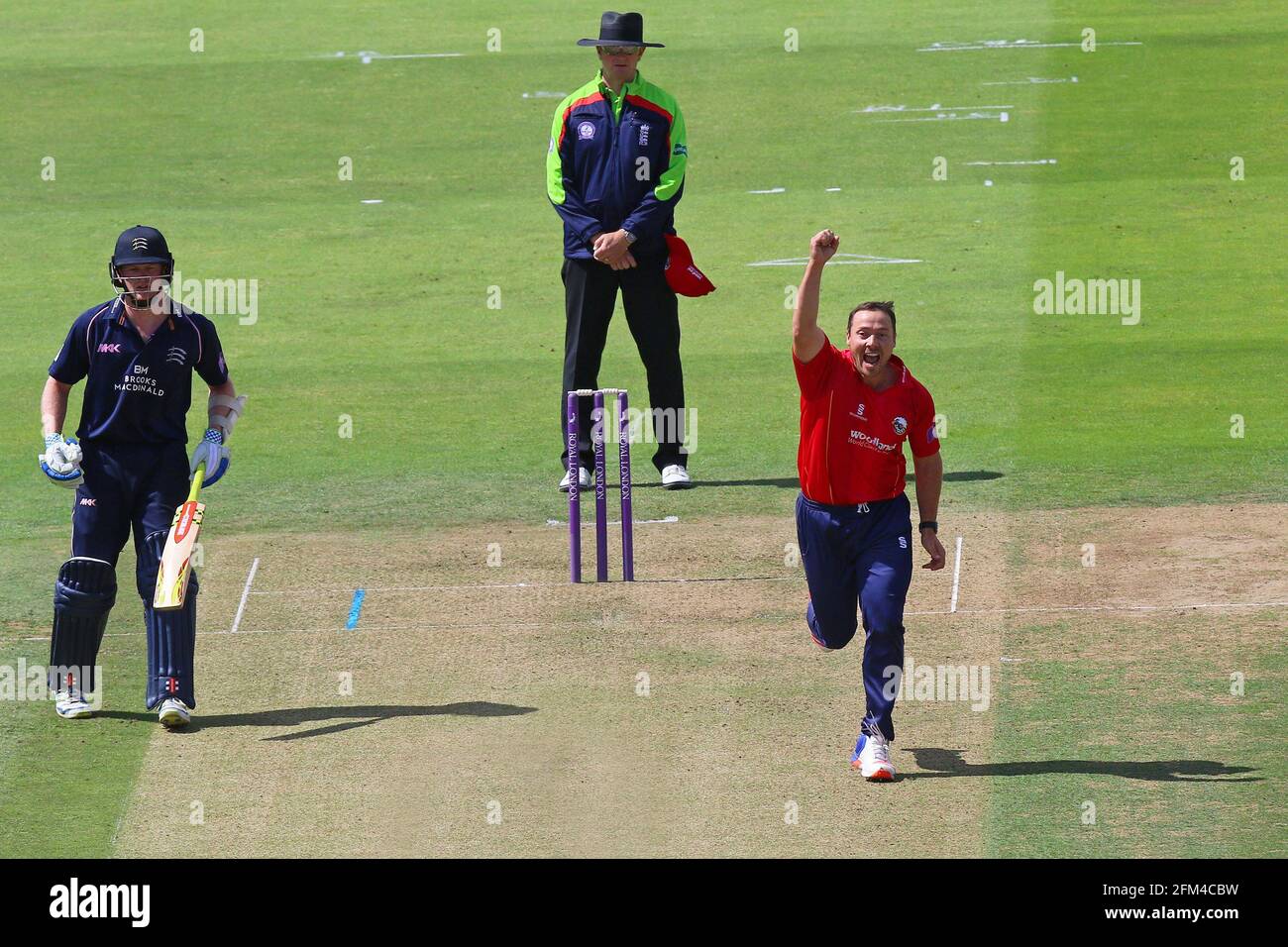 Graham Napier of Essex celebrates taking the wicket of Paul Stirling ...