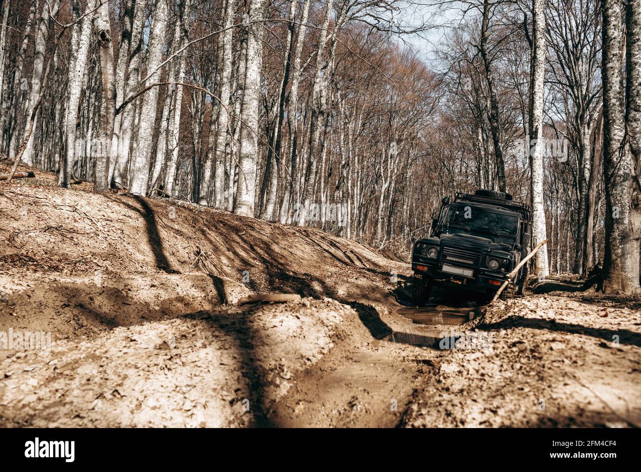 Sports car driving through forest hi-res stock photography and images ...
