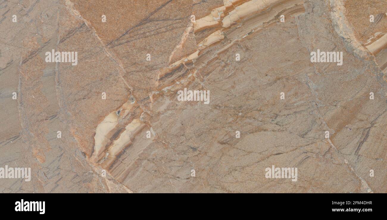 beige color stone texture polished finish with natural veins marble ...
