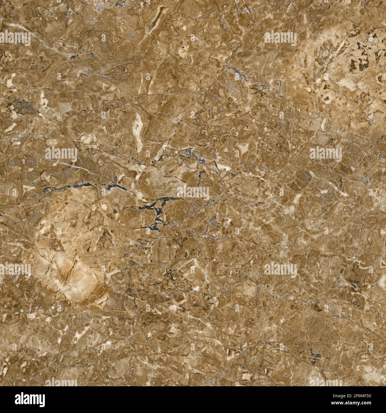 yellowish brown color stone texture polished finish with natural veins ...