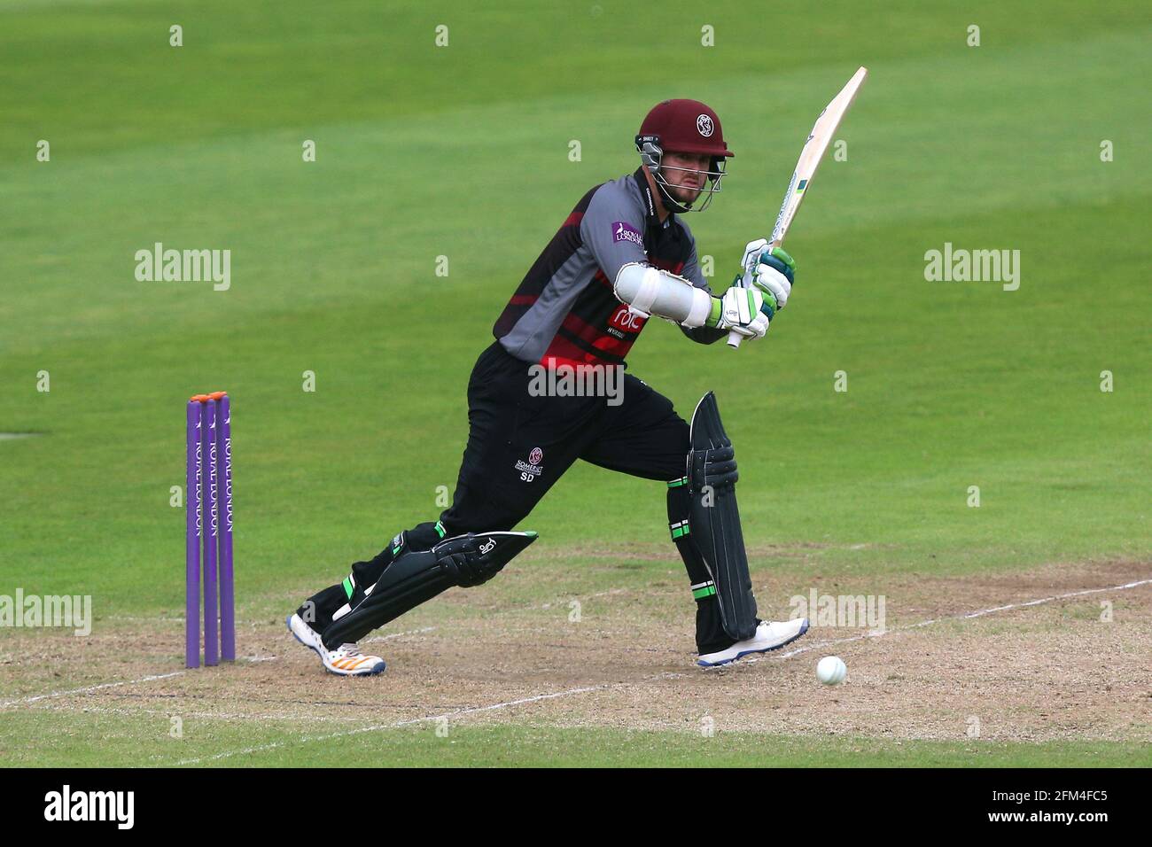 Steven Davies in batting action for Somerset during Somerset vs Essex ...