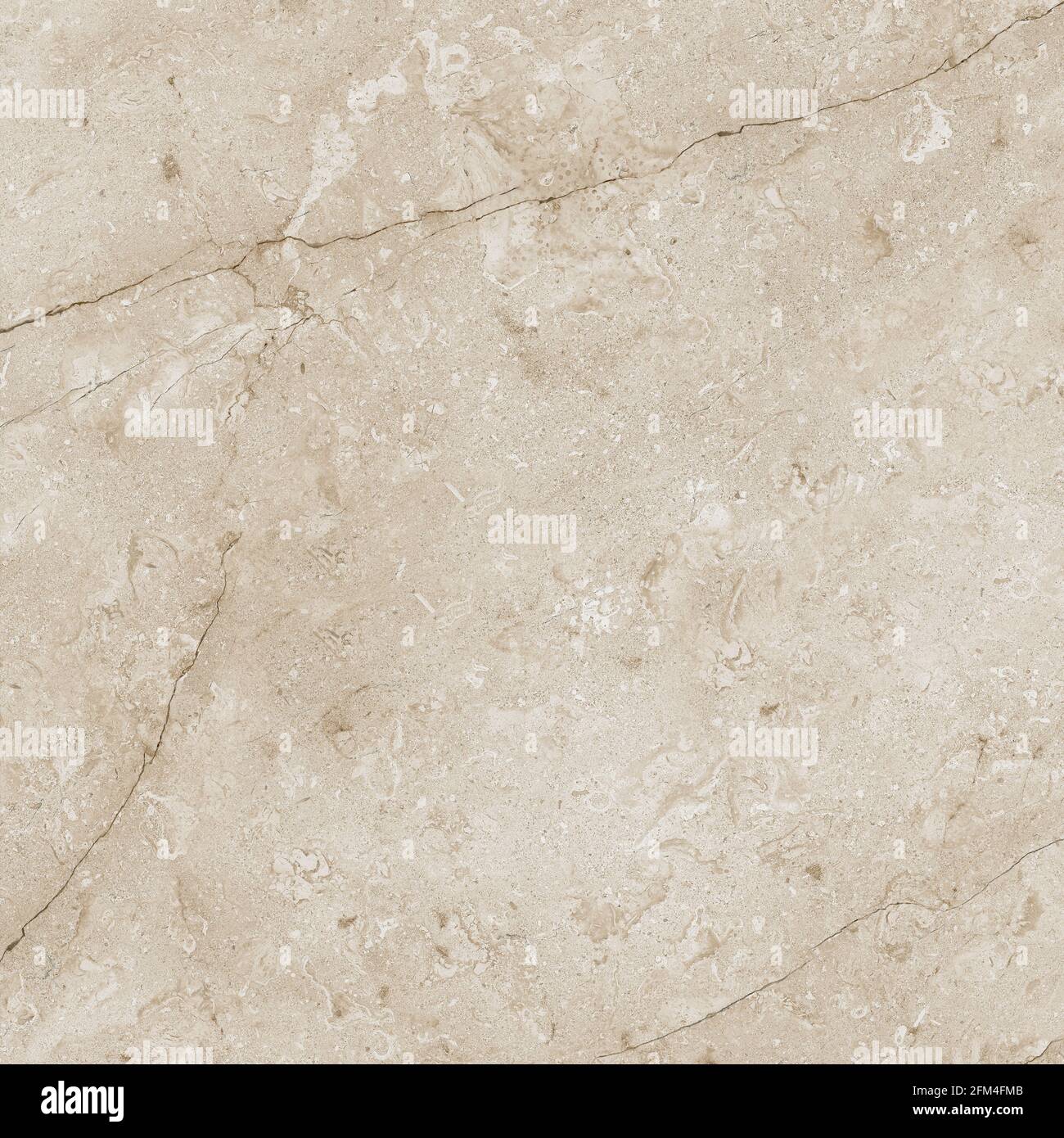 beige color stone texture polish finish with natural veins high ...