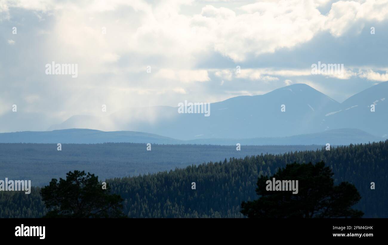 Sweden forest mountain hi-res stock photography and images - Alamy